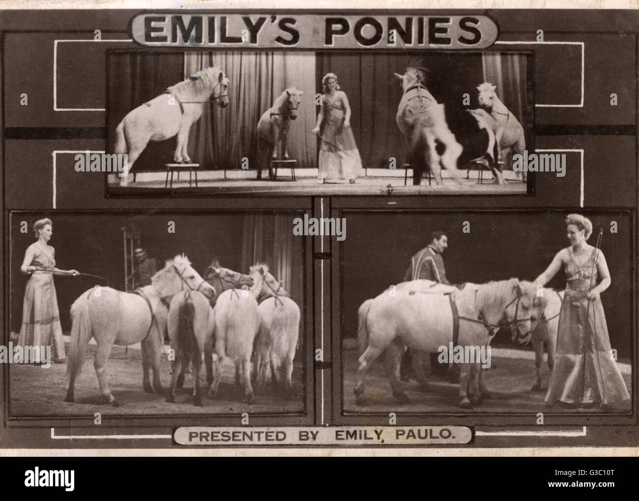 Emily white hi-res stock photography and images - Alamy