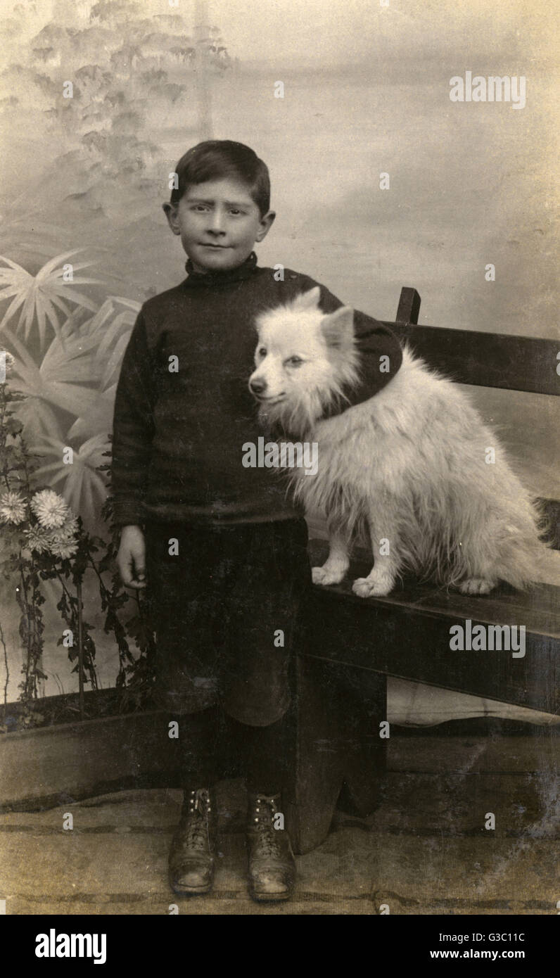 Studio portrait, boy with white dog Stock Photo - Alamy
