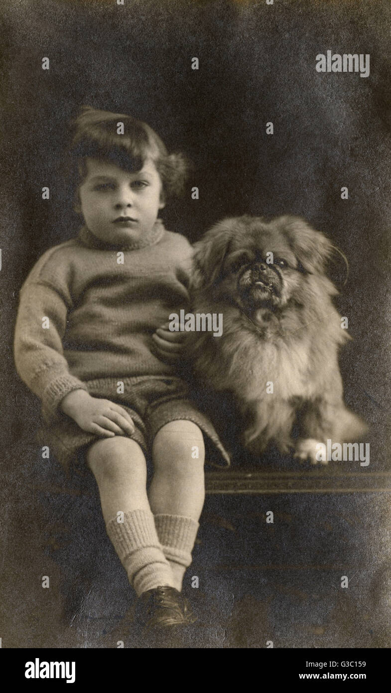 Studio portrait, boy with Pekingese dog Stock Photo - Alamy