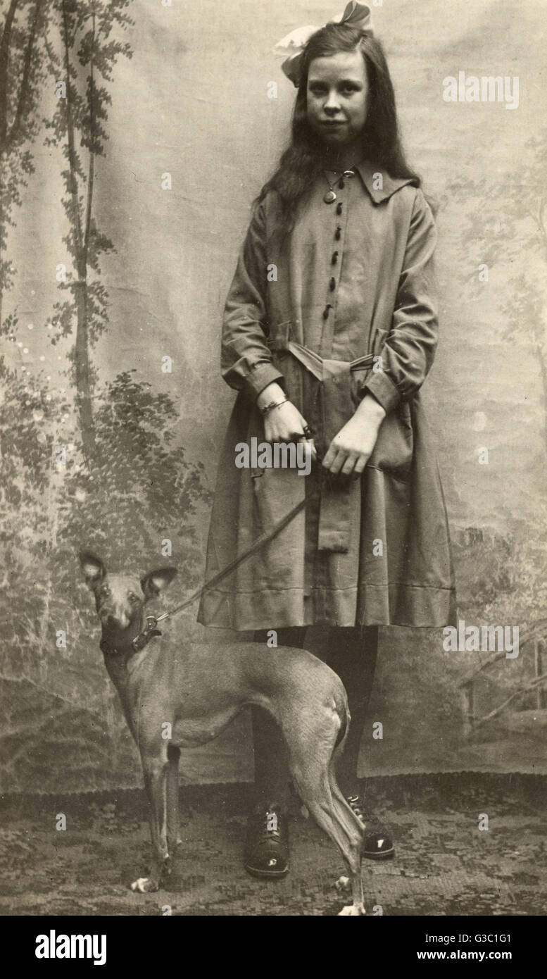 Whippets standing hi-res stock photography and images - Alamy