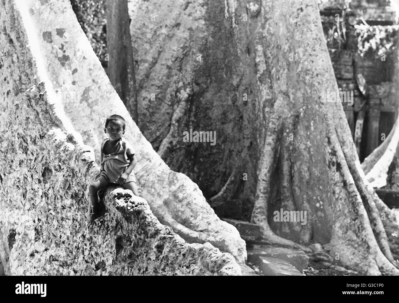 Small root Black and White Stock Photos & Images - Alamy