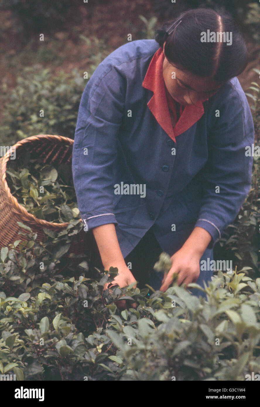 Chinese woman 1960s hi-res stock photography and images - Alamy