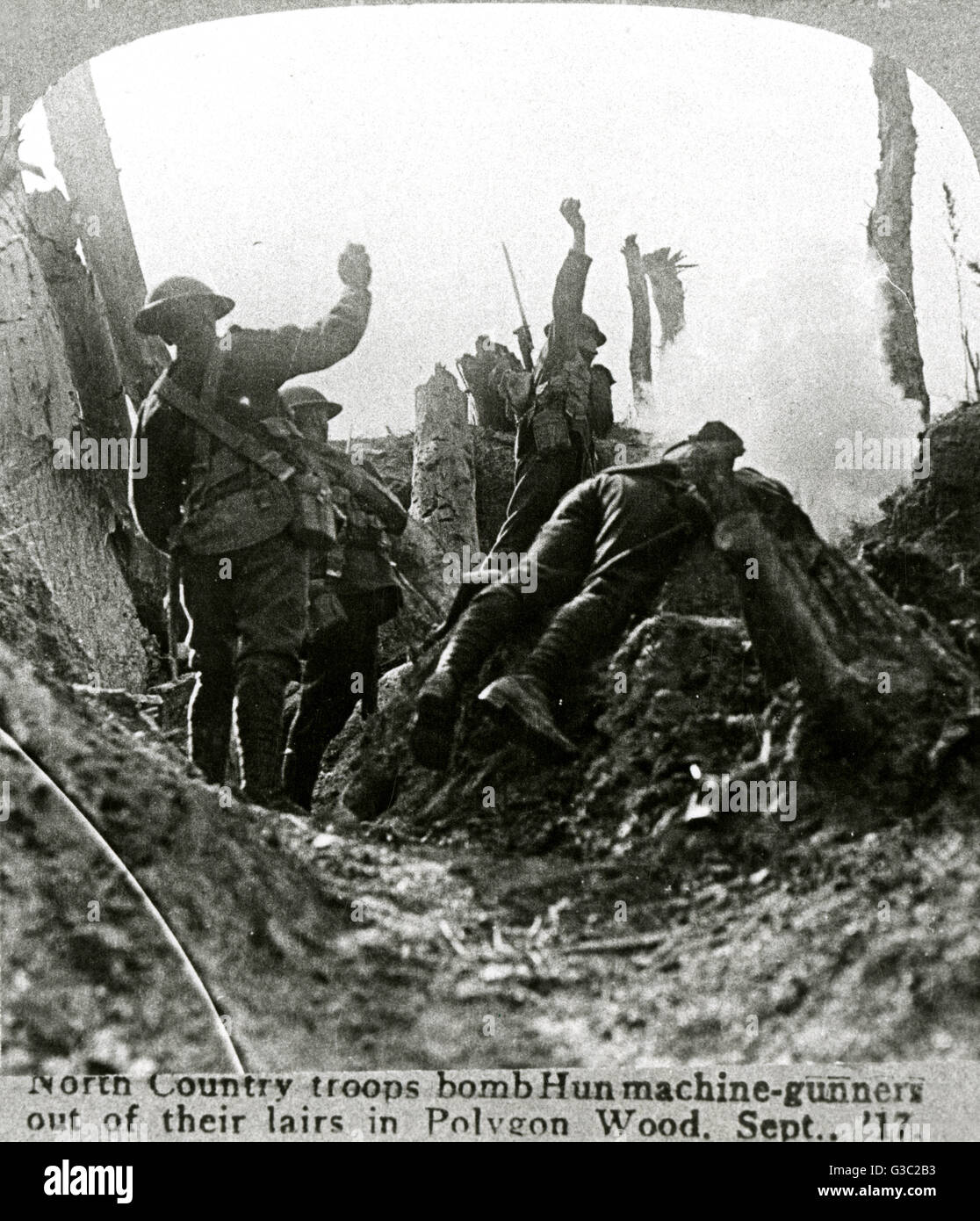 Polygon Wood High Resolution Stock Photography and Images - Alamy