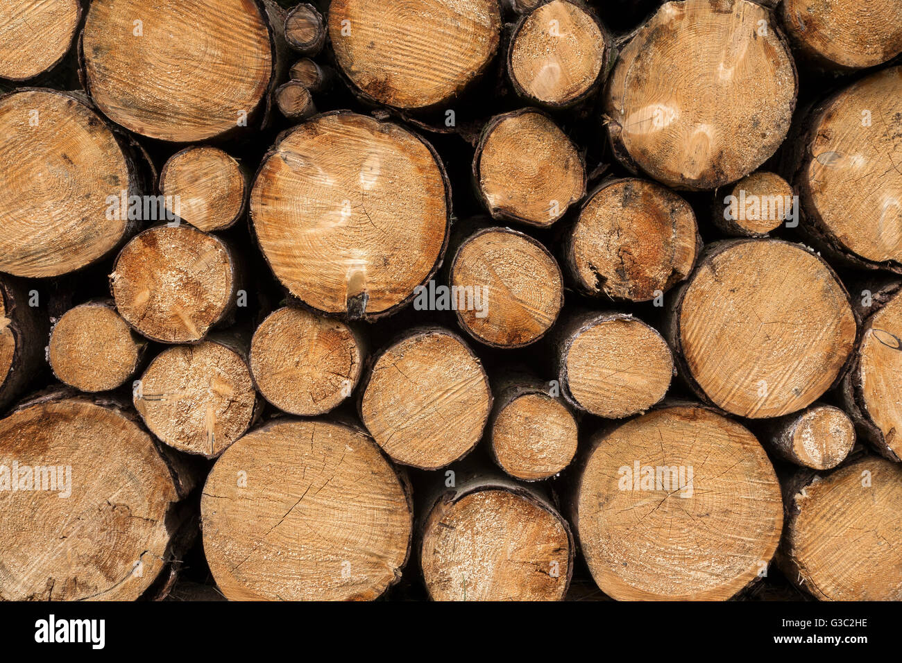 Stacked tree trunks Stock Photo - Alamy