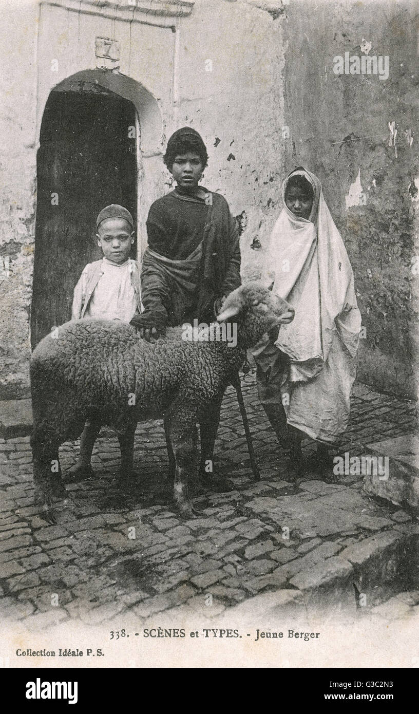 Algeria - North Africa - Young Shepherd with his sheep Stock Photo - Alamy