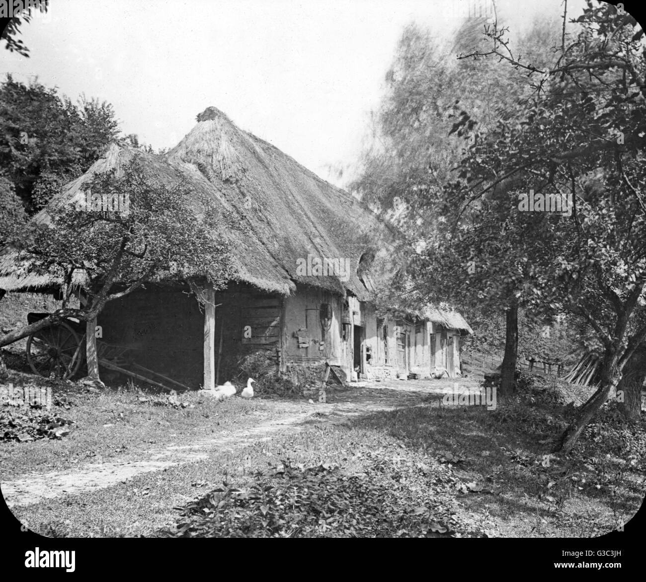 1890s farming farm hi-res stock photography and images - Alamy