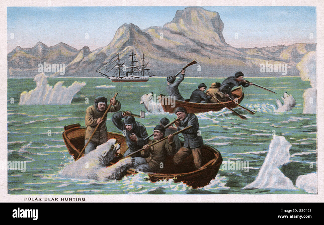 Polar Bear Hunting in Alaska, USA Stock Photo - Alamy