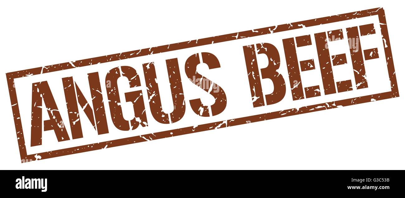 angus beef brown grunge square vintage rubber stamp Stock Vector Image ...