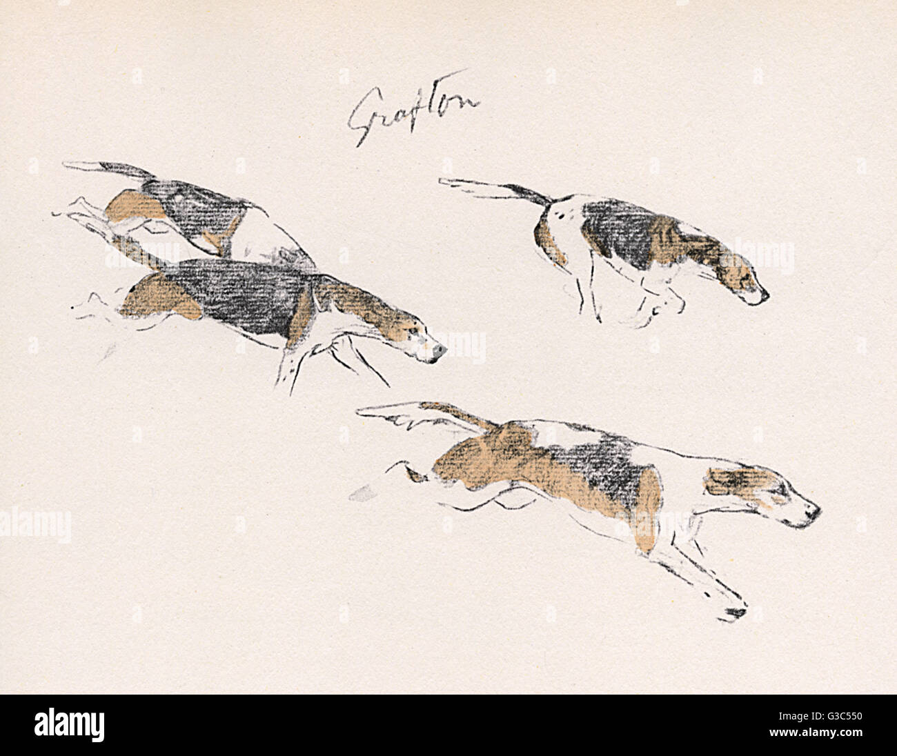 Home run hounds hi-res stock photography and images - Alamy