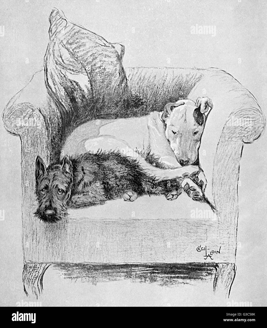 Chair will Black and White Stock Photos & Images - Alamy