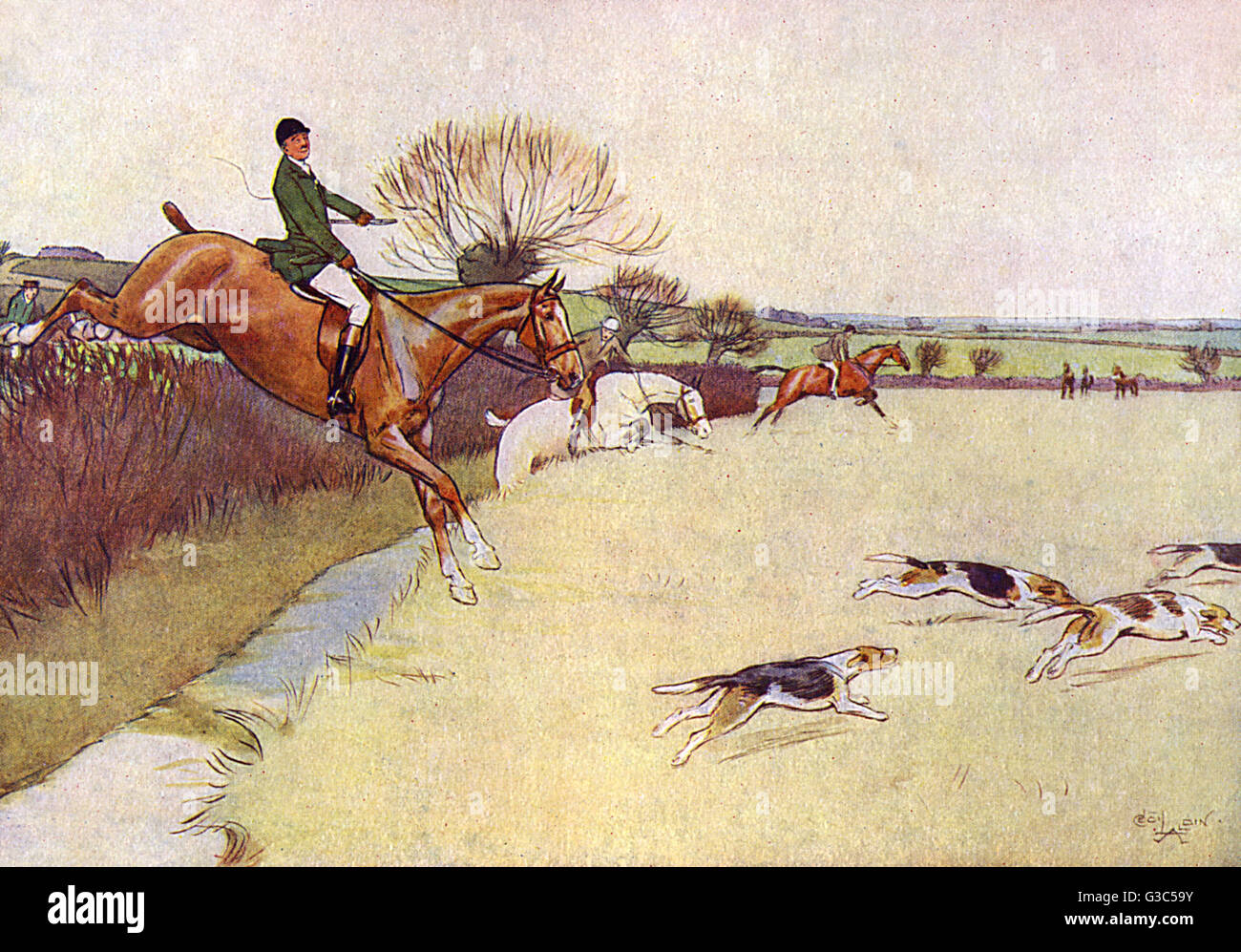 Illustration, Black Beauty Stock Photo - Alamy