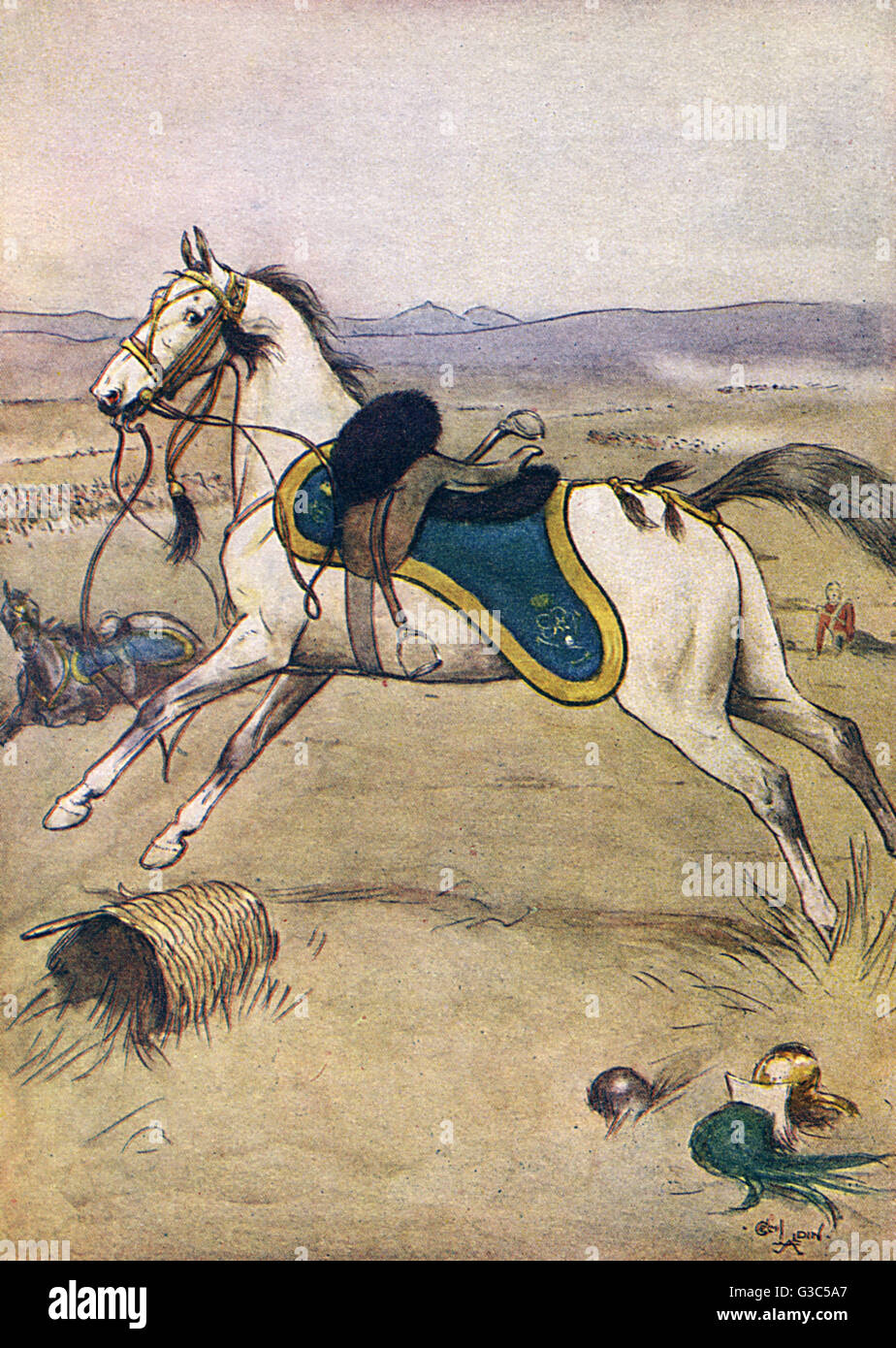 Illustration, Black Beauty Stock Photo - Alamy