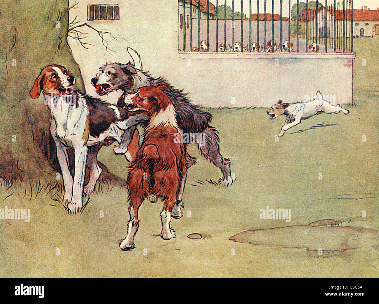 Illustration, Peter, the fox terrier, with three big dogs Stock Photo ...