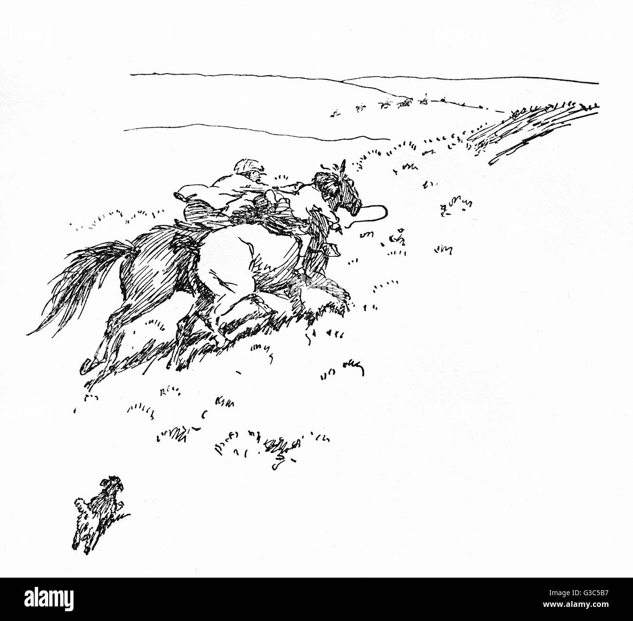 A runaway horse Black and White Stock Photos & Images - Alamy