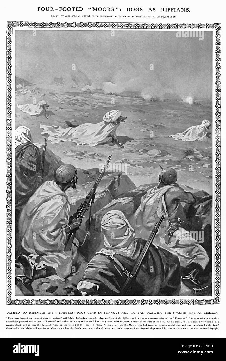 Dogs as Riffians during Melillan Campaign Stock Photo - Alamy