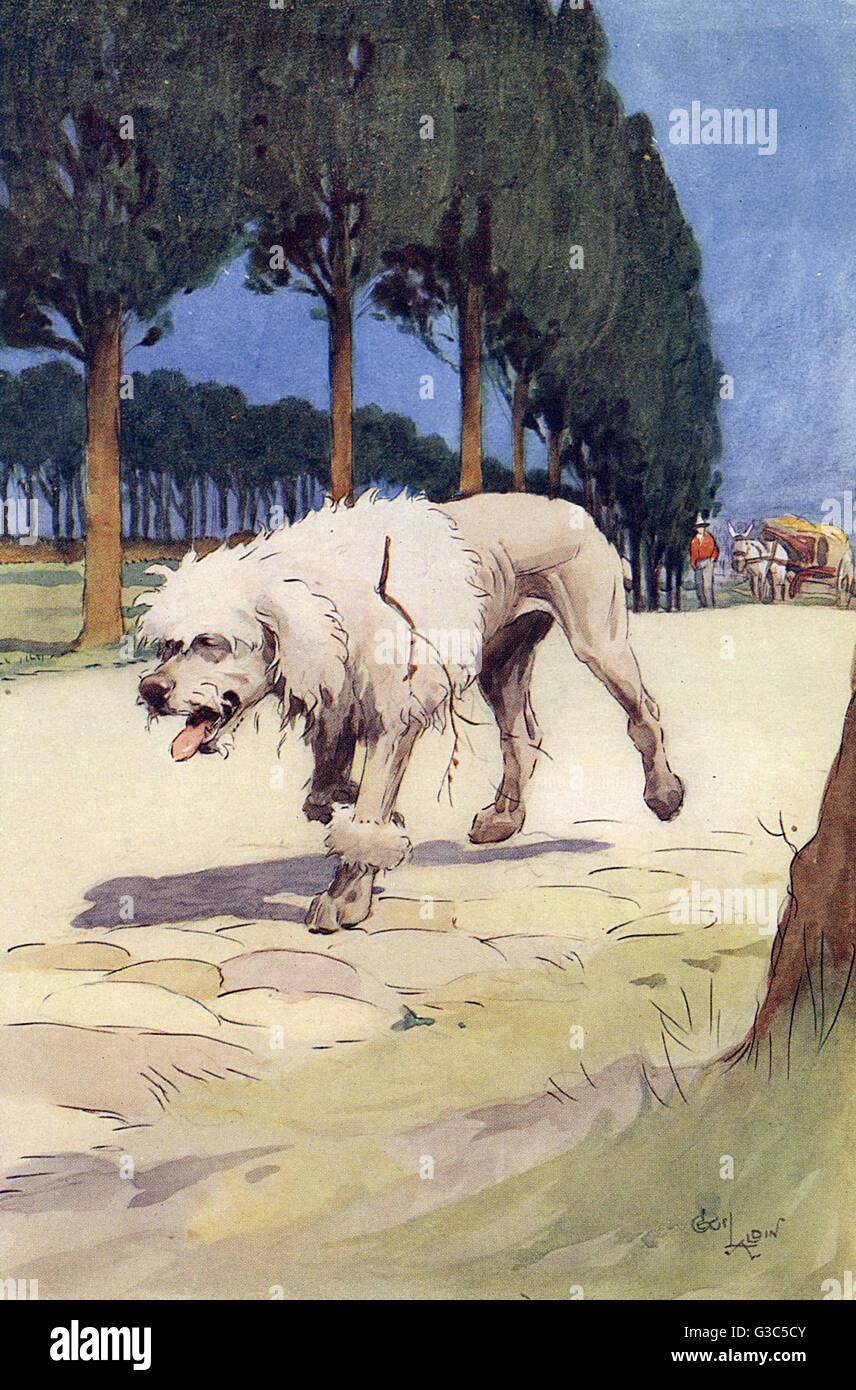 Frontispiece illustration by Cecil Aldin, Moufflou, by Ouida Stock ...