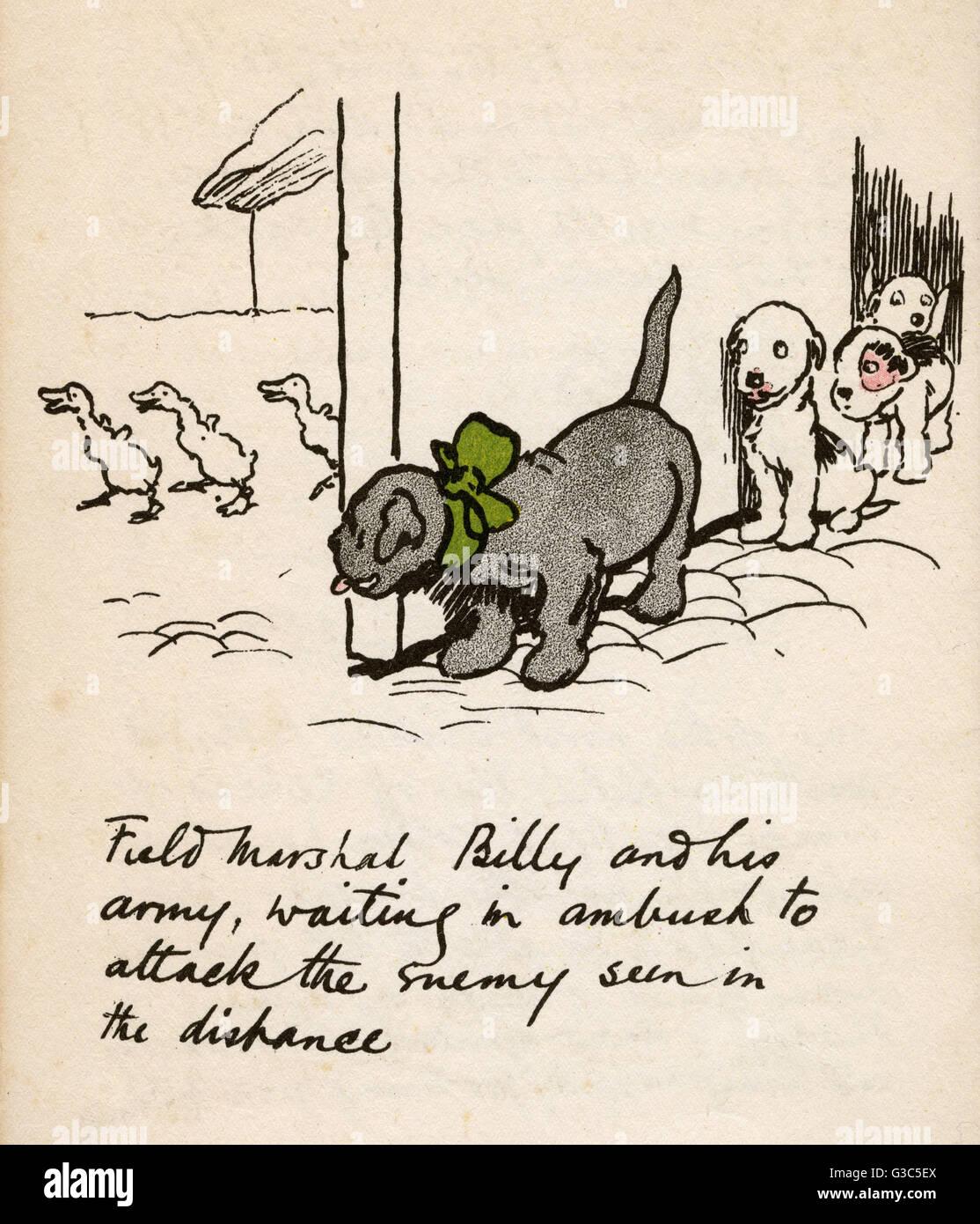 Black billy hi-res stock photography and images - Alamy