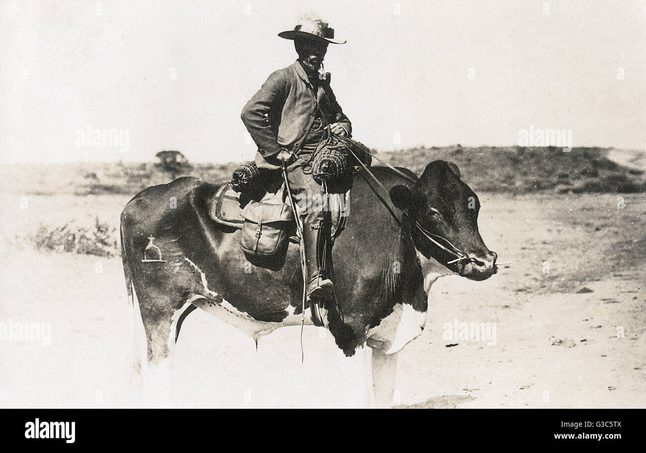 South african rider hi-res stock photography and images - Alamy