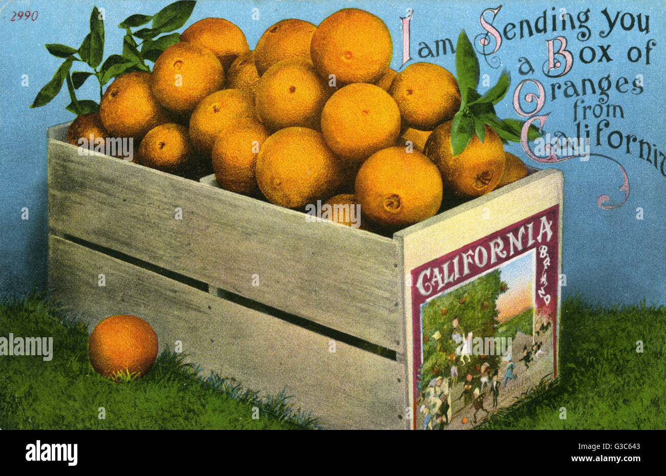 Box of Oranges from California Stock Photo - Alamy