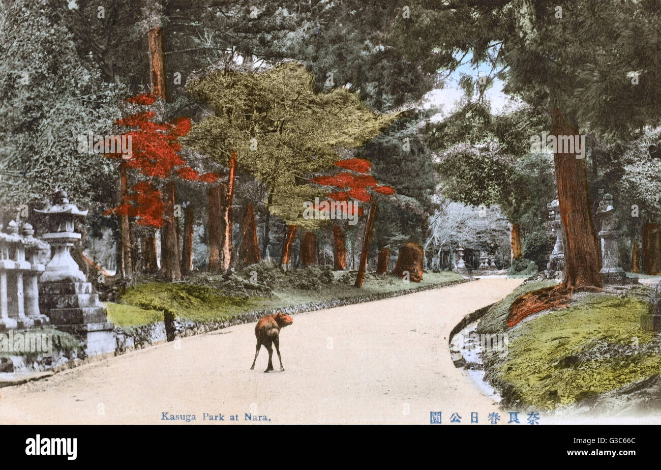 Path to the Shinto Kasuga Shrine at Nara, Japan - Deer Park Stock Photo ...