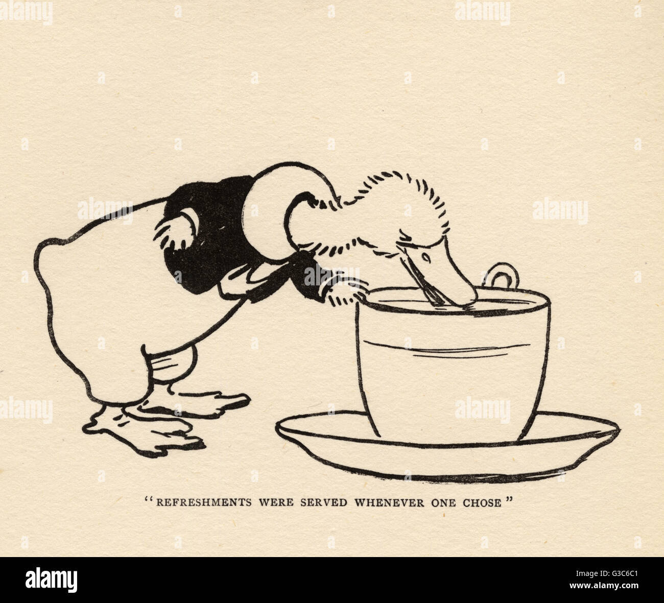 Duck drinking from a large cup Stock Photo - Alamy