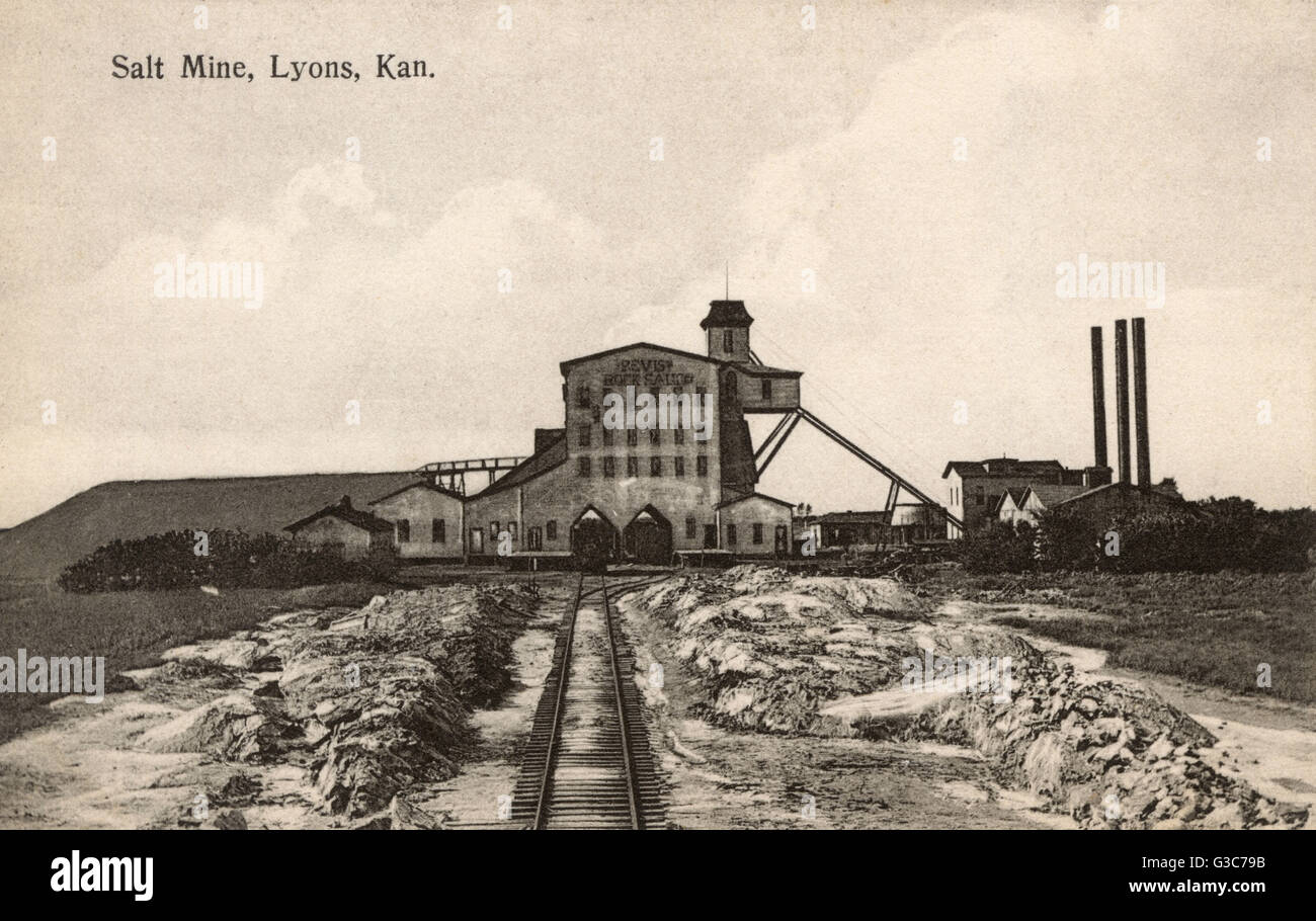 North American Salt Lyons