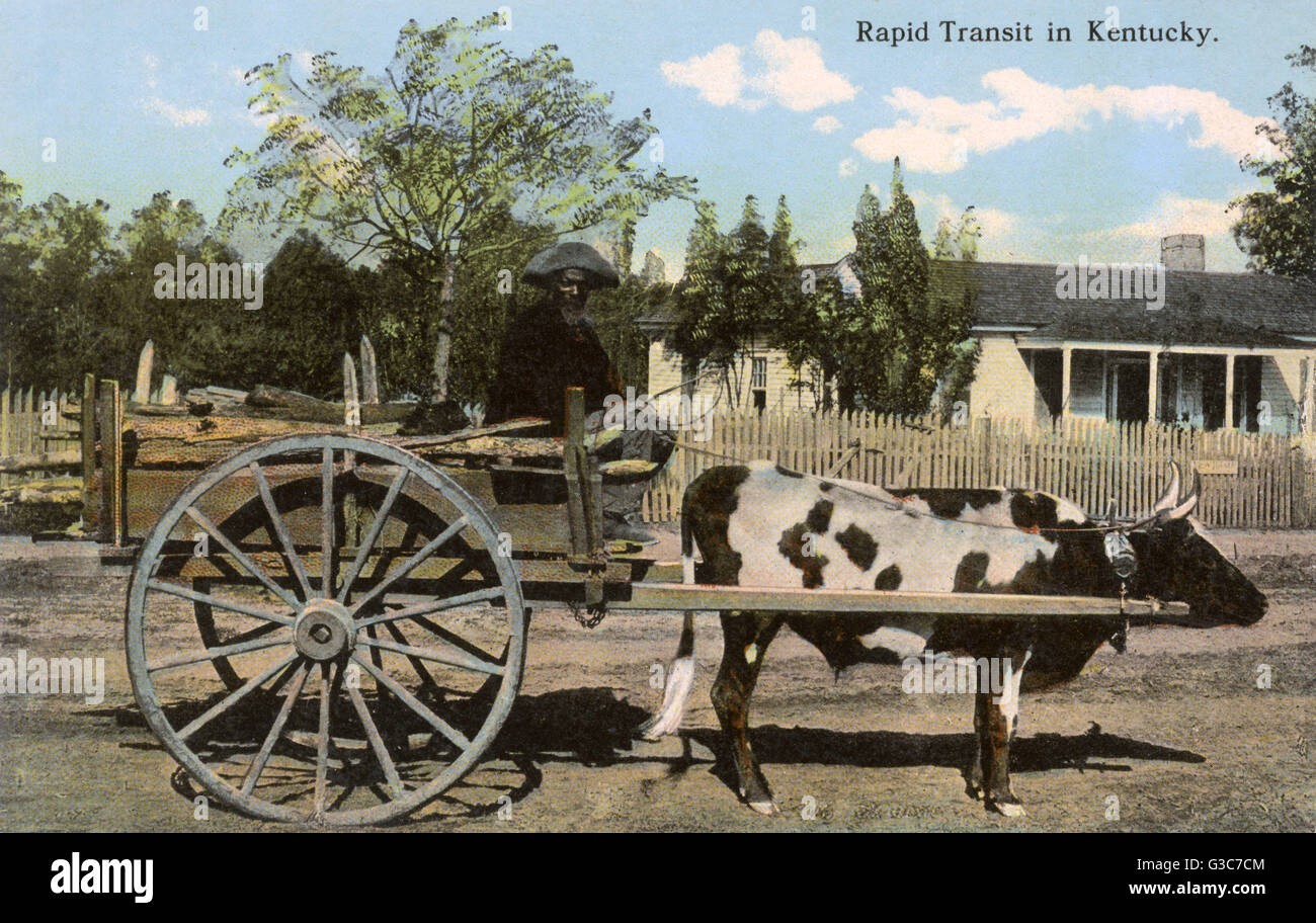 Ox drawn cart hi-res stock photography and images - Alamy