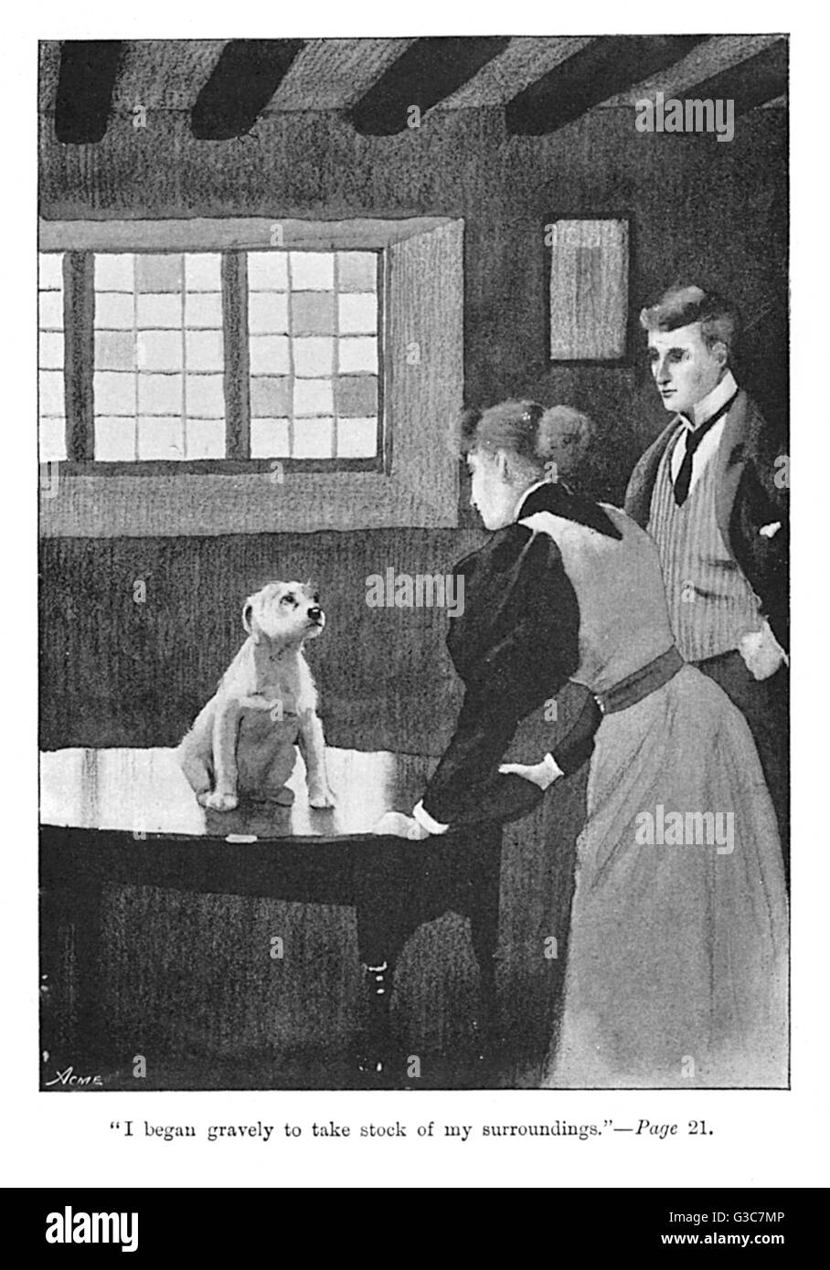 Illustration man dog on Cut Out Stock Images & Pictures - Alamy