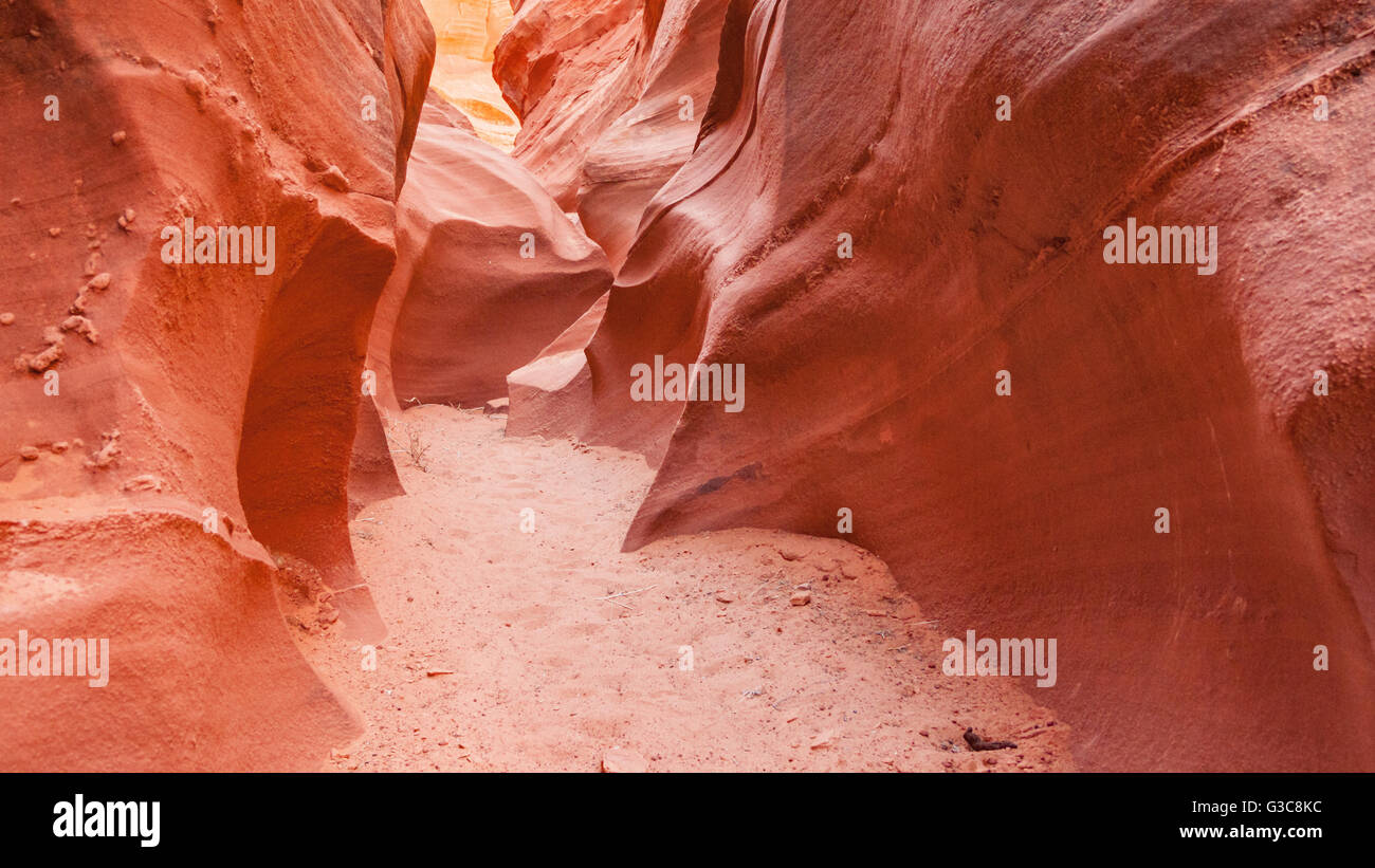 Arizona trail winding through hi-res stock photography and images - Alamy