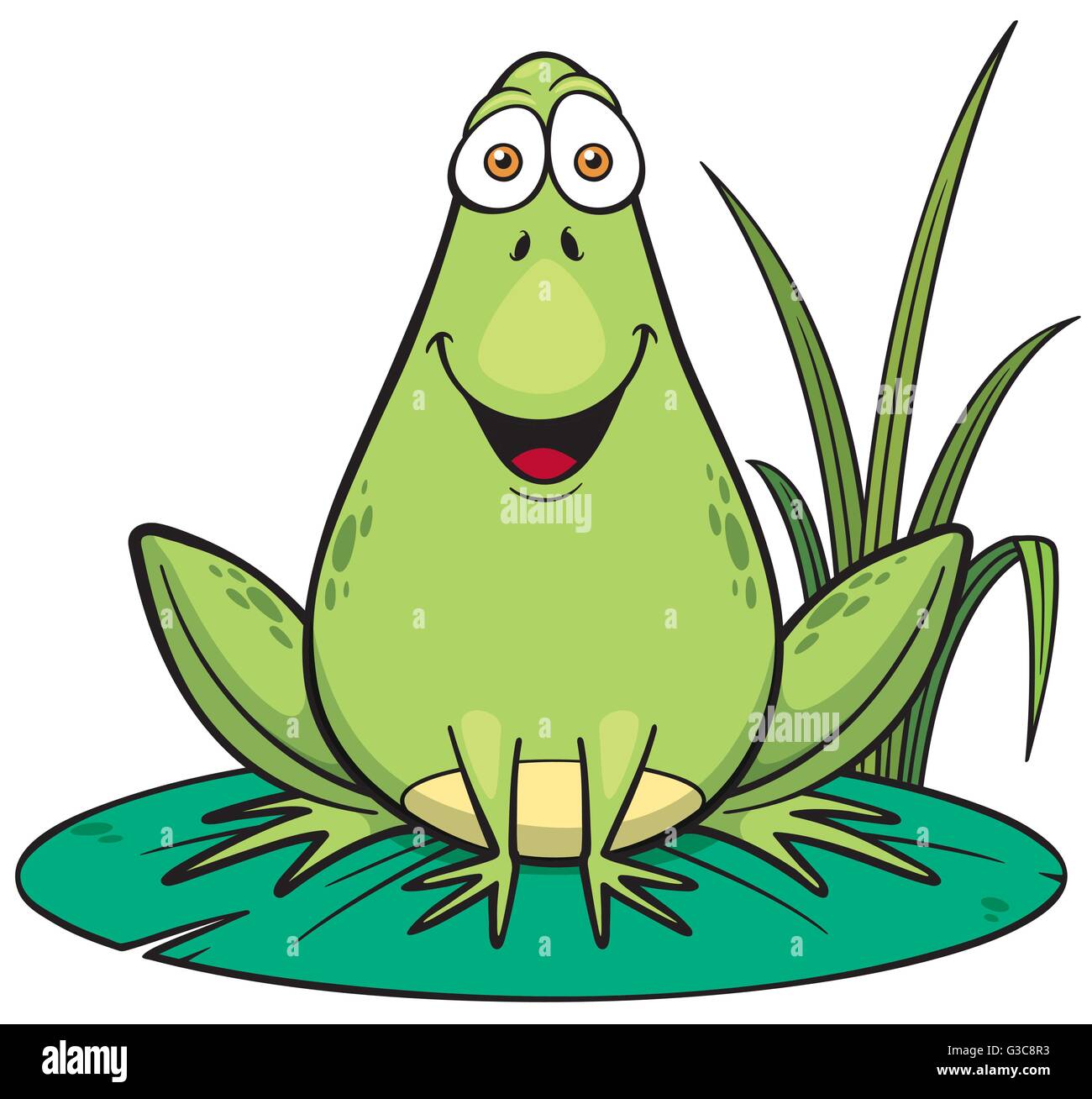 Vector illustration of Cartoon Green Frog Stock Vector Image & Art - Alamy