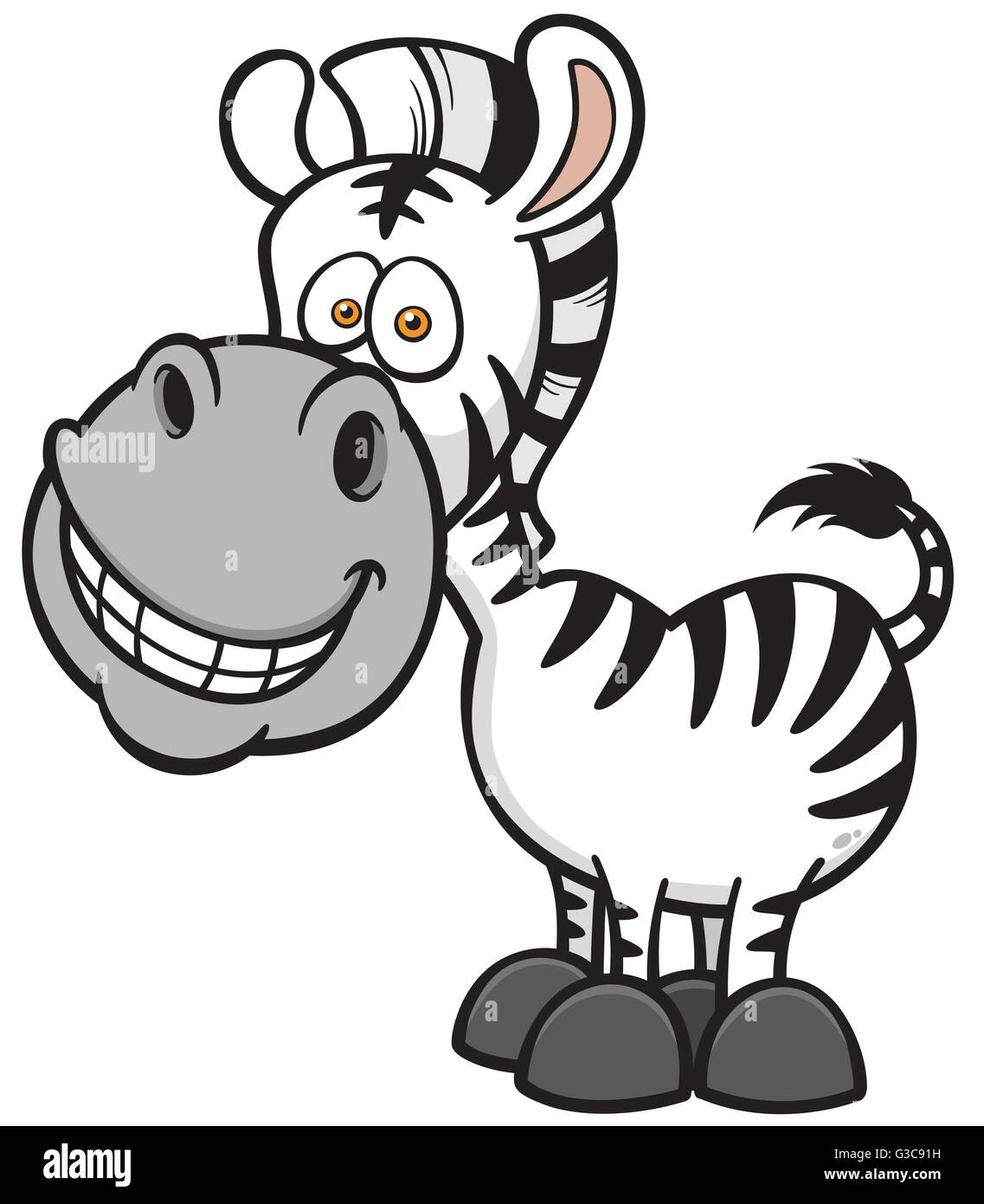 Vector illustration of Cartoon Zebra Stock Vector Image & Art - Alamy
