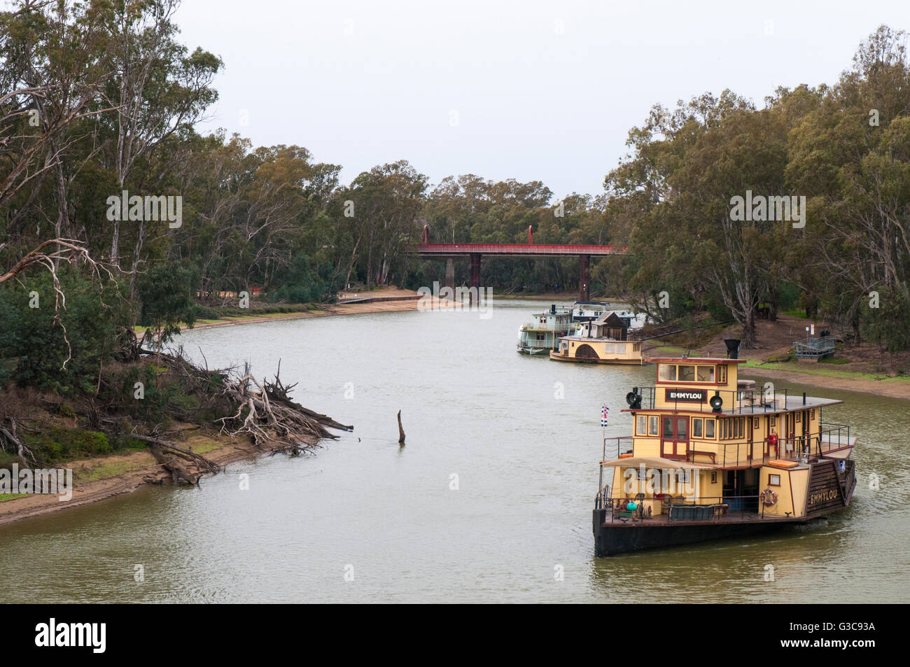 PS Emmylou and other paddlesteamers on the Murray River at the historic ...