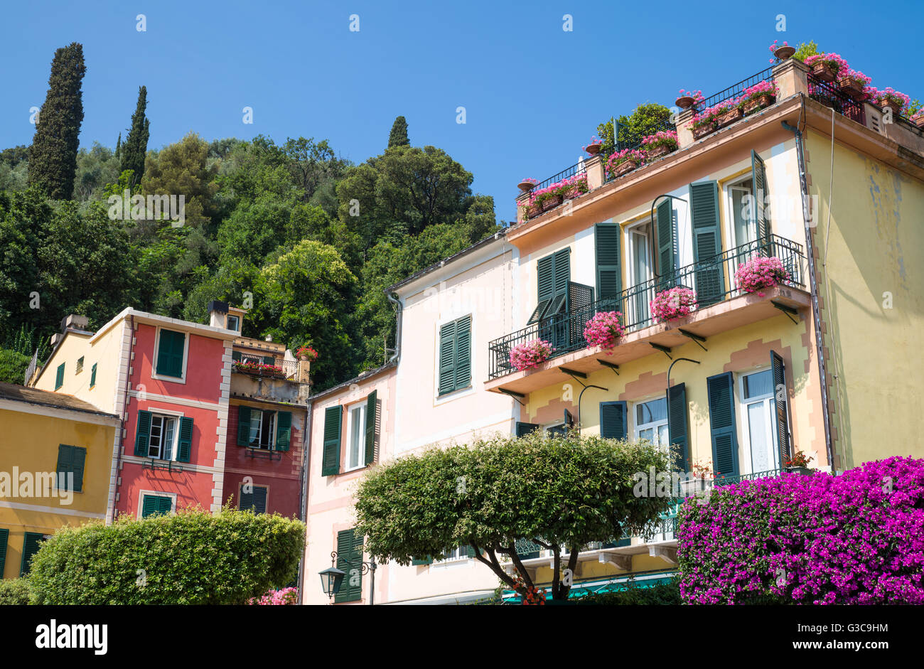 Italy, Portofino, the colored houses on the harbor bay Stock Photo - Alamy