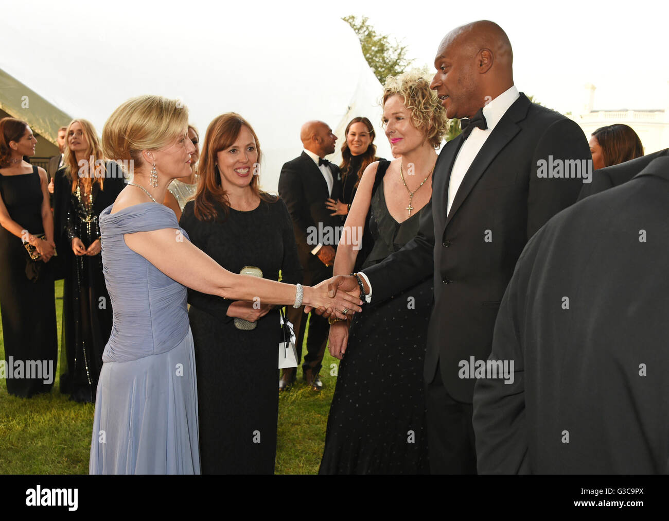 The Countess of Wessex, Fiona Hawthorne and Colin Salmon attend the ...