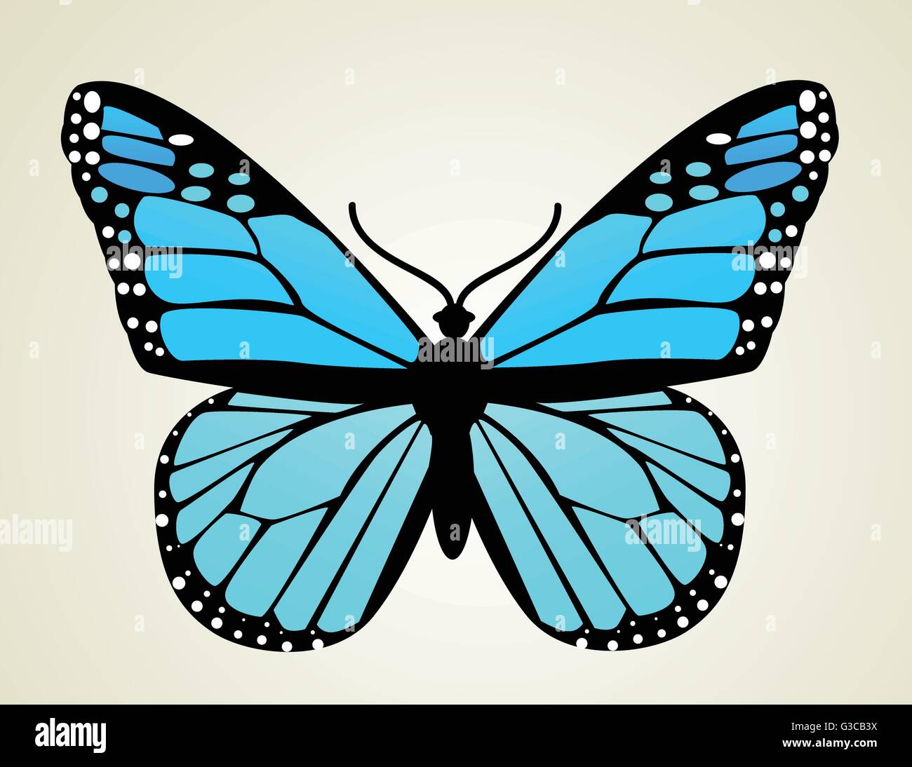 Butterfly. Vector illustration Stock Vector Image & Art - Alamy