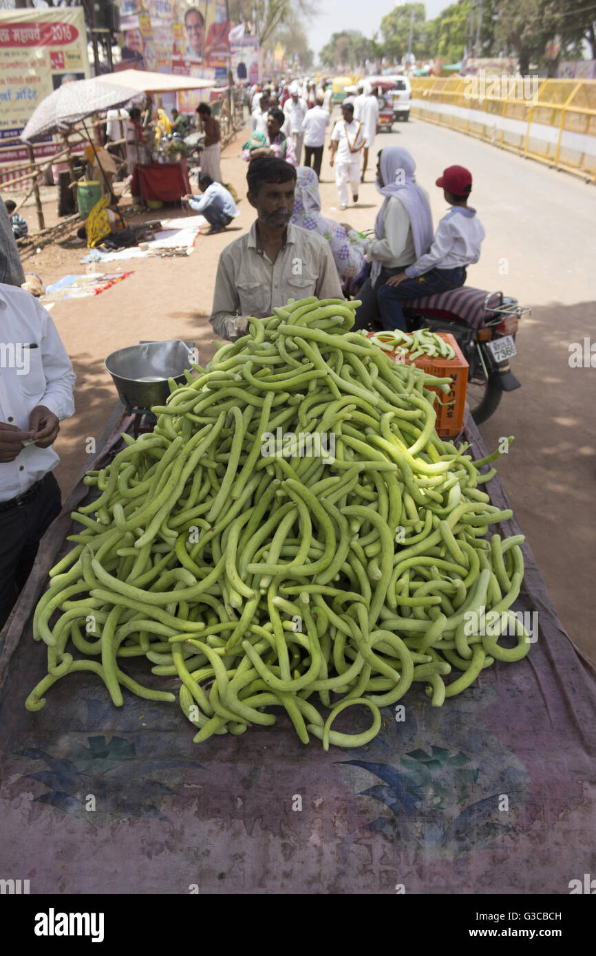Vegetable cucumber kakdi india hi-res stock photography and images - Alamy