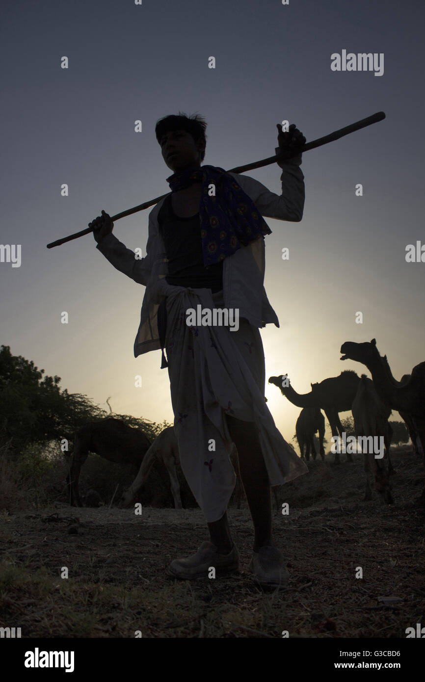 Landscape gujarat village in hi-res stock photography and images - Alamy