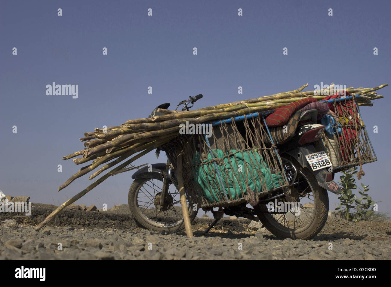 Family On A Motor Bike High Resolution Stock Photography and Images - Alamy