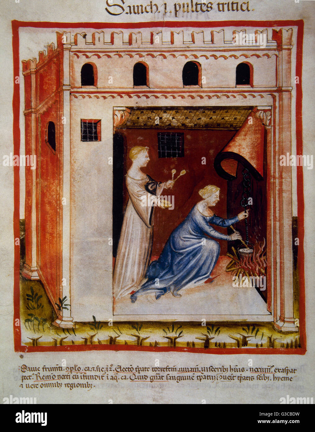 Tacuinum sanitatis 14th century medieval hi-res stock photography and ...