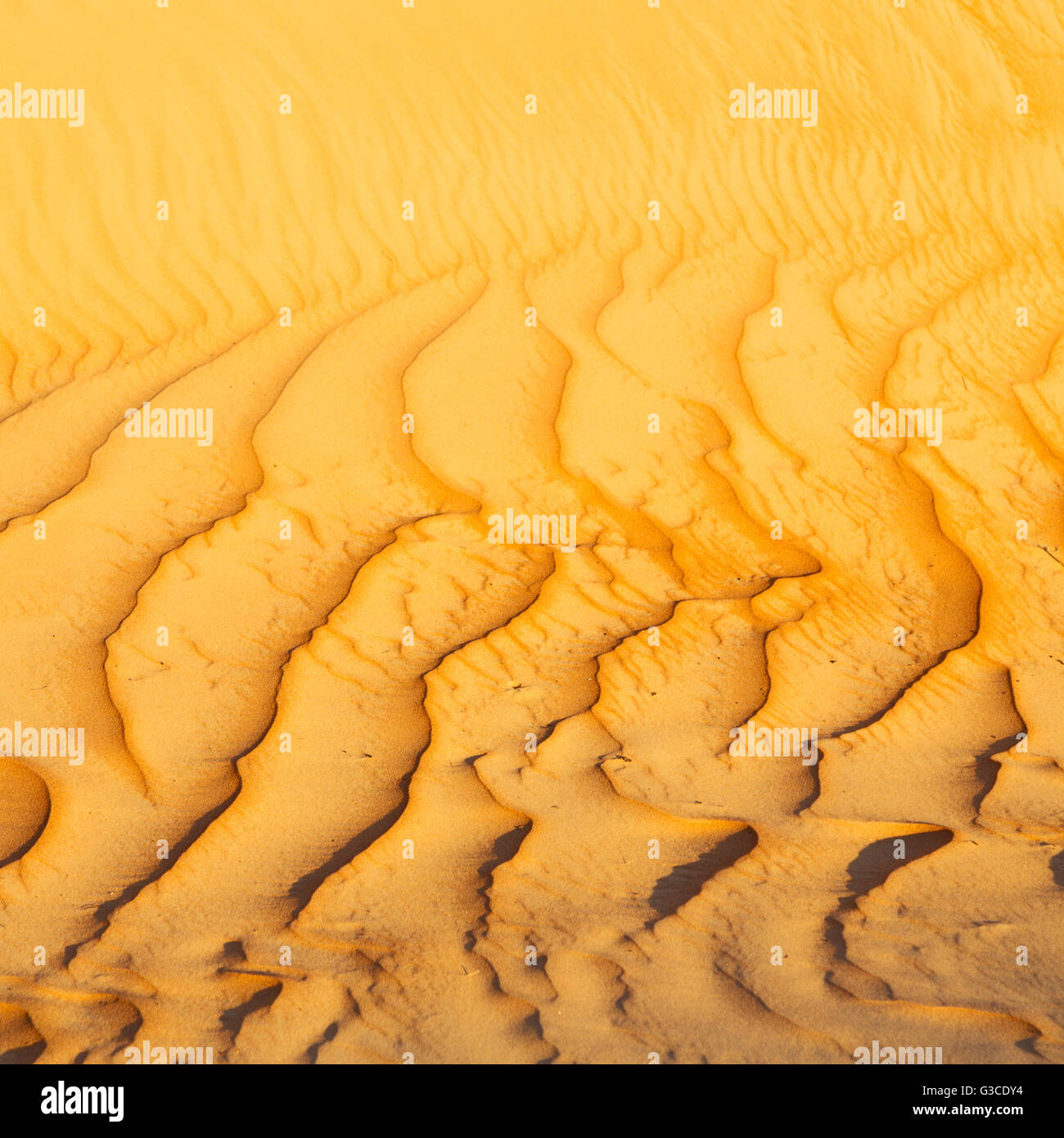 abstract texture line wave in oman the old desert and the empty quarter ...