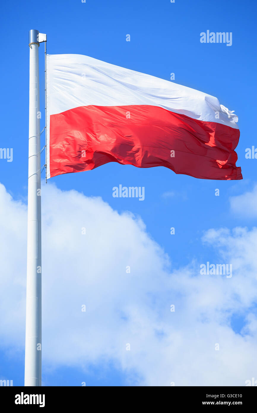 Polish flag on a background of blue sky Stock Photo - Alamy
