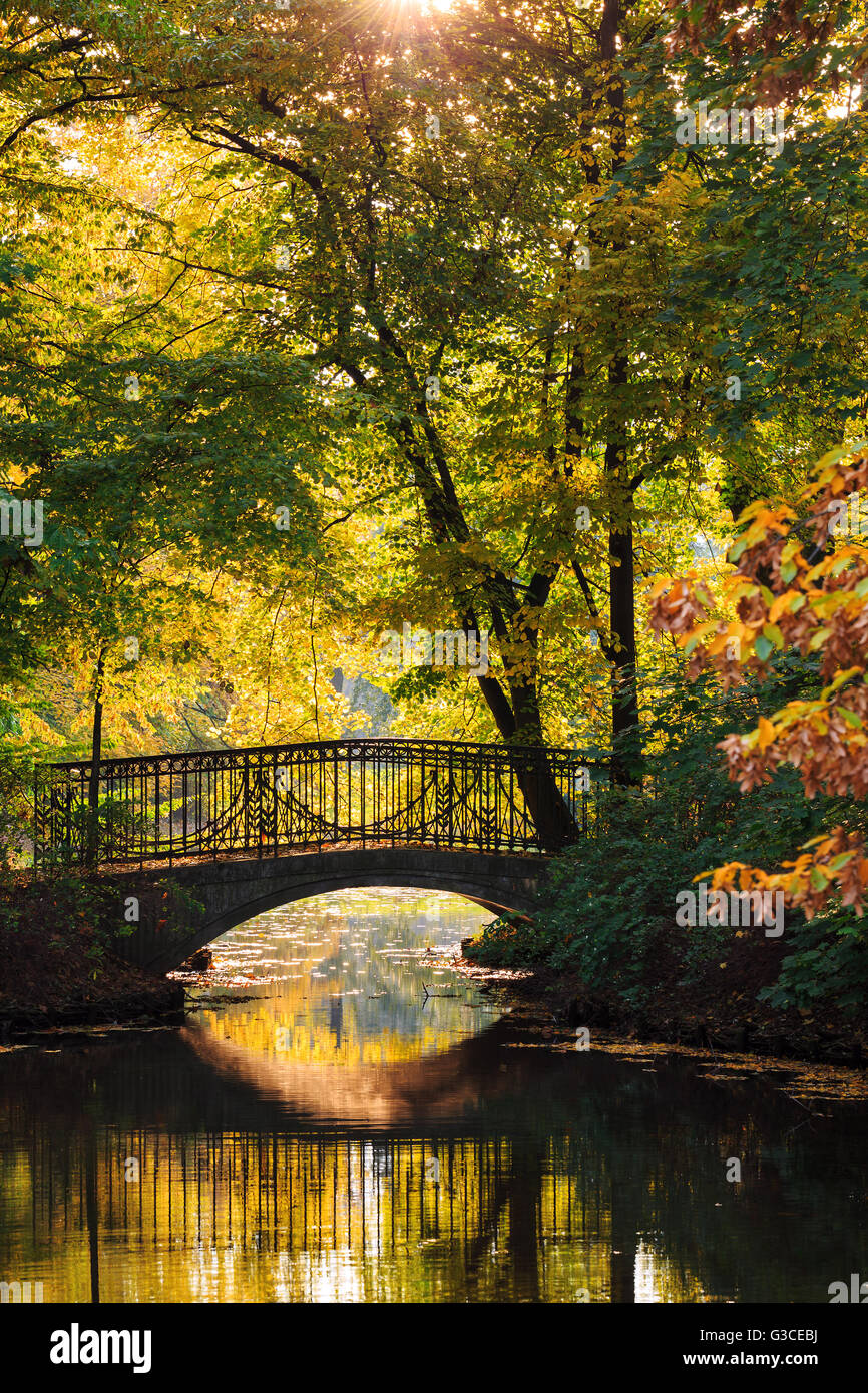 Beautiful autumn park Stock Photo - Alamy