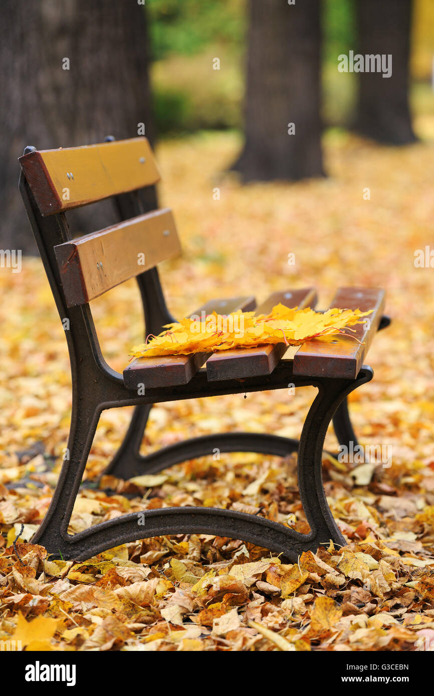 Bench in autumn park Stock Photo - Alamy