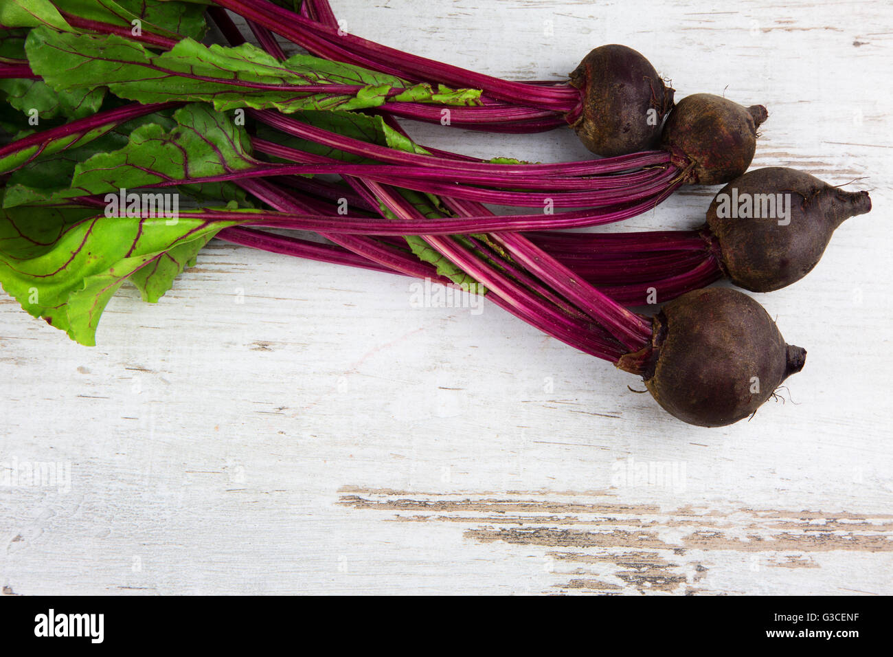 A bunch of fresh young beets with green beetroot on white,wooden ...