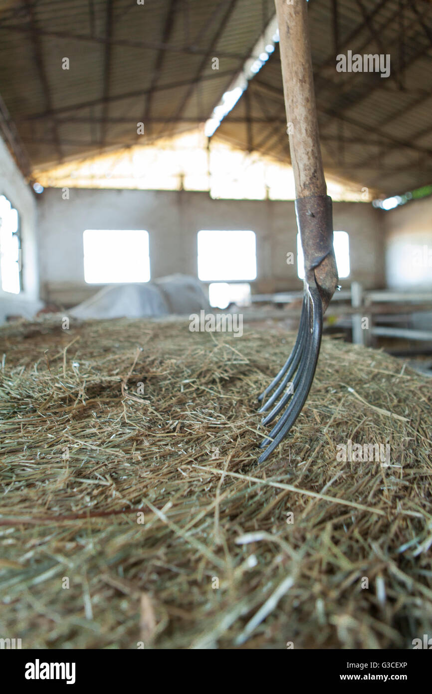 Tonco hi-res stock photography and images - Alamy