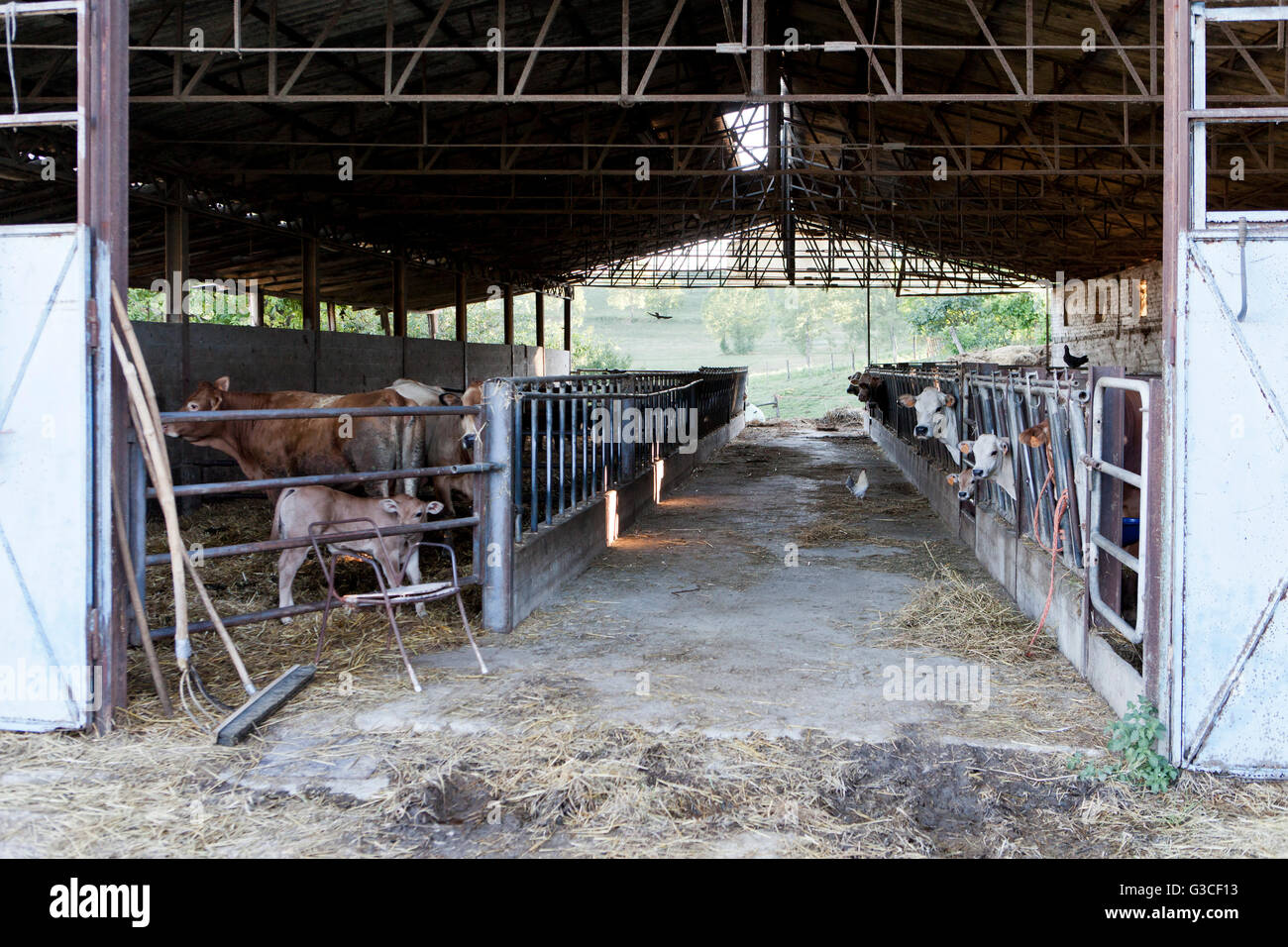 Tonco High Resolution Stock Photography and Images - Alamy