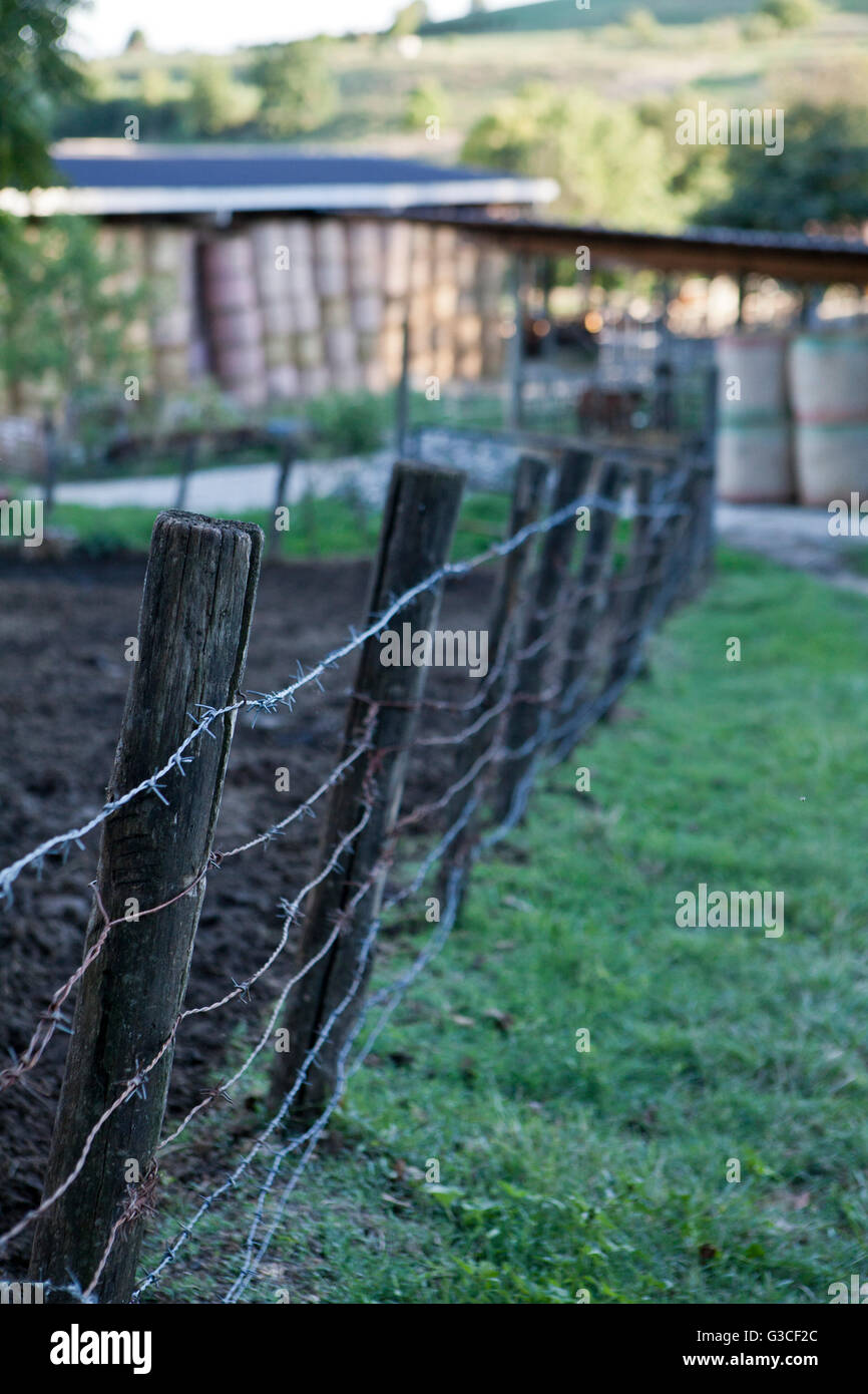 Tonco hi-res stock photography and images - Alamy