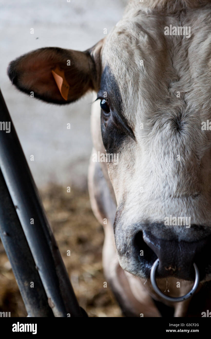 Tonco hi-res stock photography and images - Alamy