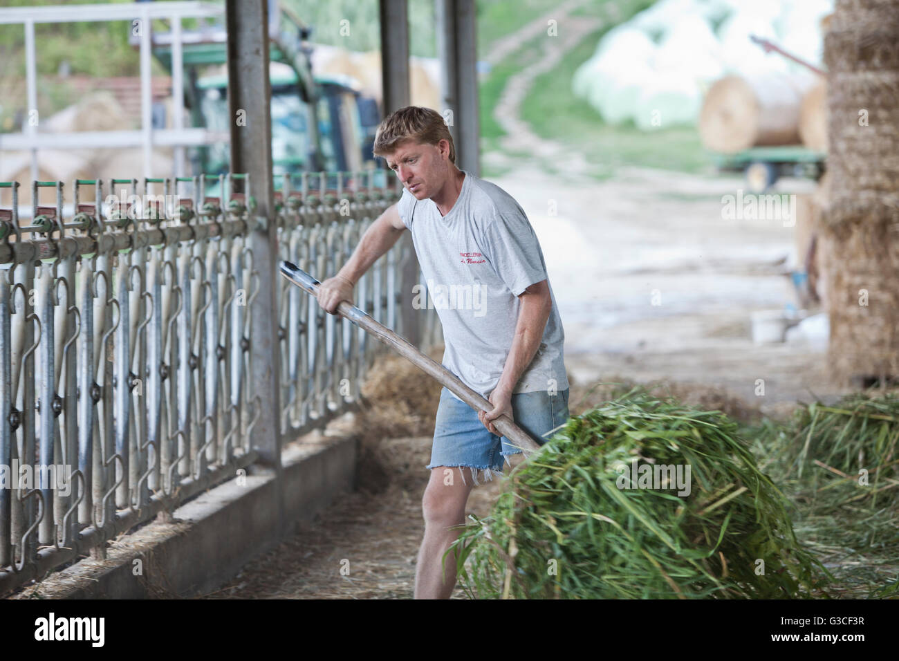 Tonco High Resolution Stock Photography and Images - Alamy