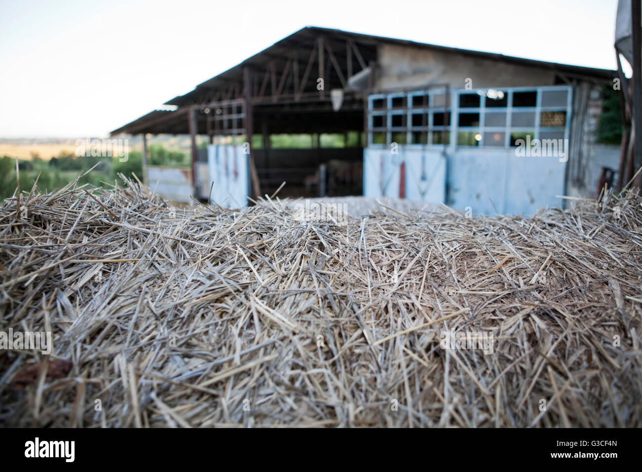 Tonco hi-res stock photography and images - Alamy